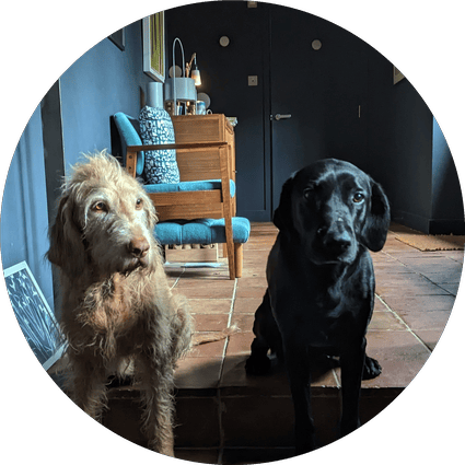Circular dogs | Five Acre Barn